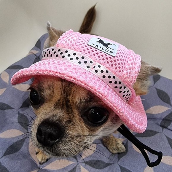 Dog | Hat For Dogs And Cats | Poshmark